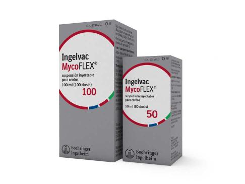 Ingelvac MycoFLEX® | Soloporcino